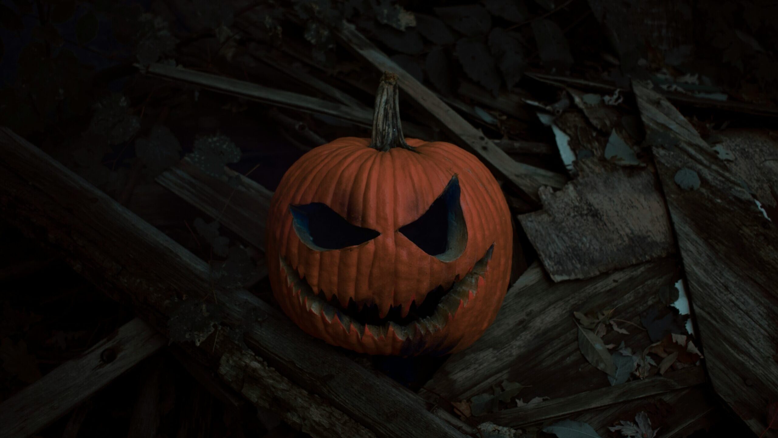 Folkeskoleelev klædte sig ud som Hitler til Halloweenfejring - Nordfront.dk